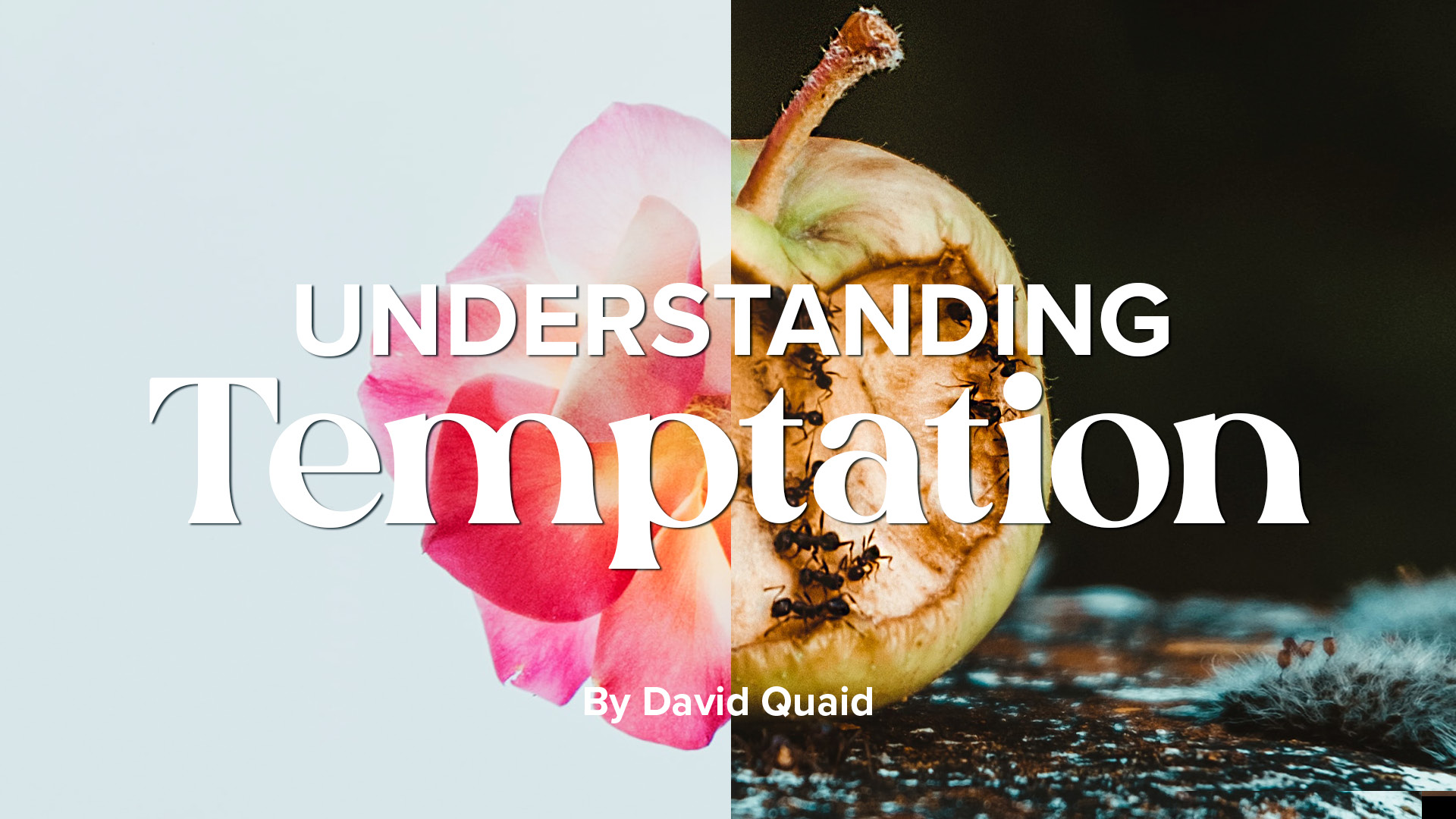 Understanding Temptation | Vineyard Church North Phoenix